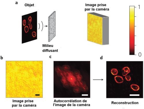 Des photos à travers des couches diffusantes quasi opaques – F2S-asso ...